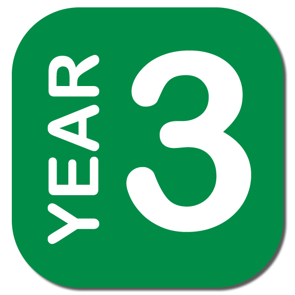 Year Groups – Hillstone Primary